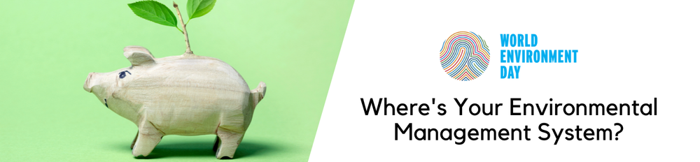 Where's Your Environmental Management System? — Certex International