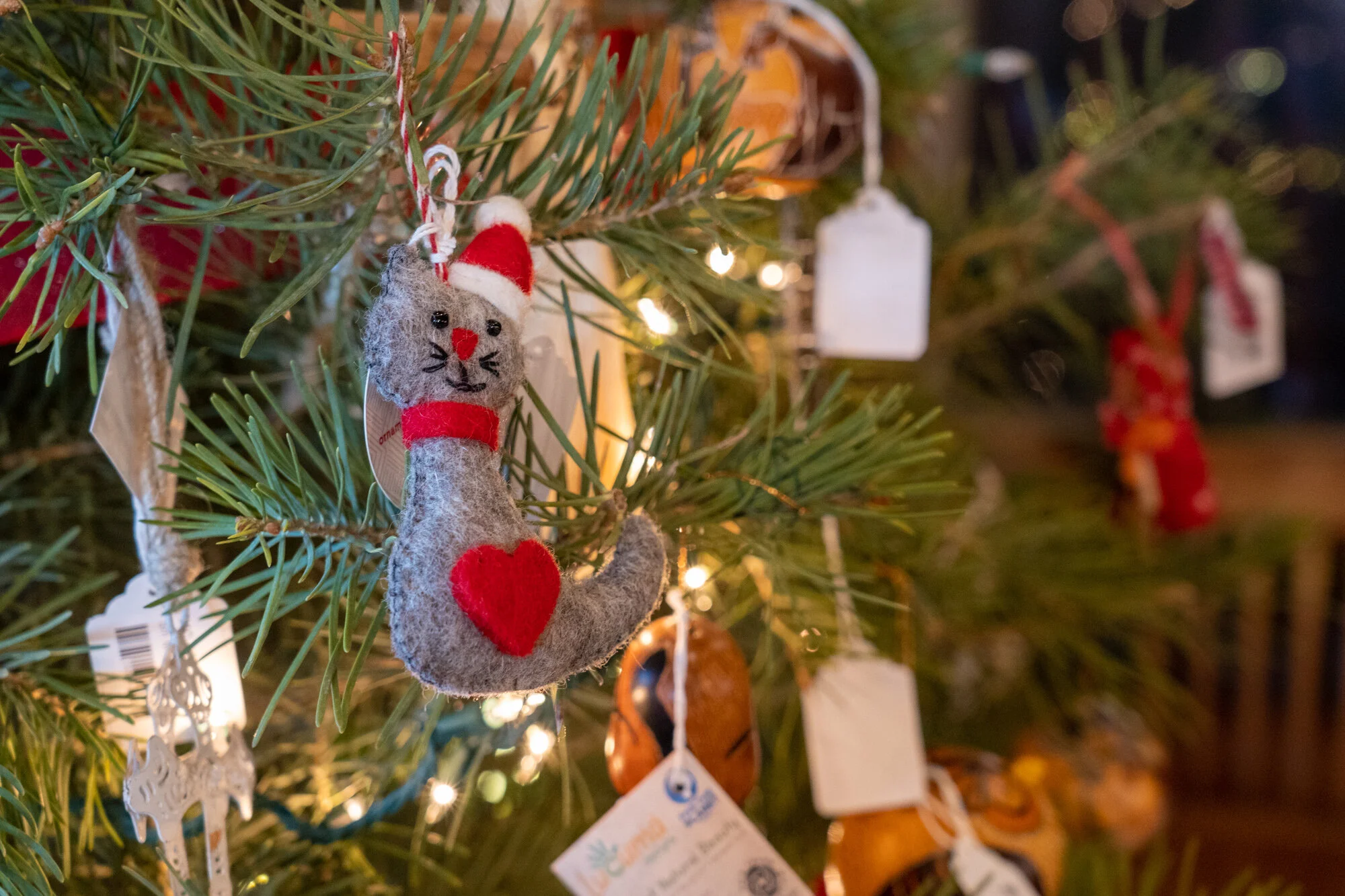 Nordstrom's Tree Farm | Omaha, NE