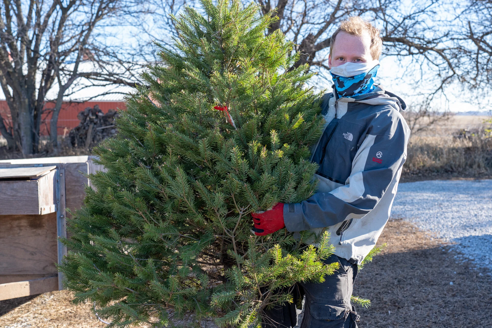 Nordstrom's Tree Farm | Omaha, NE