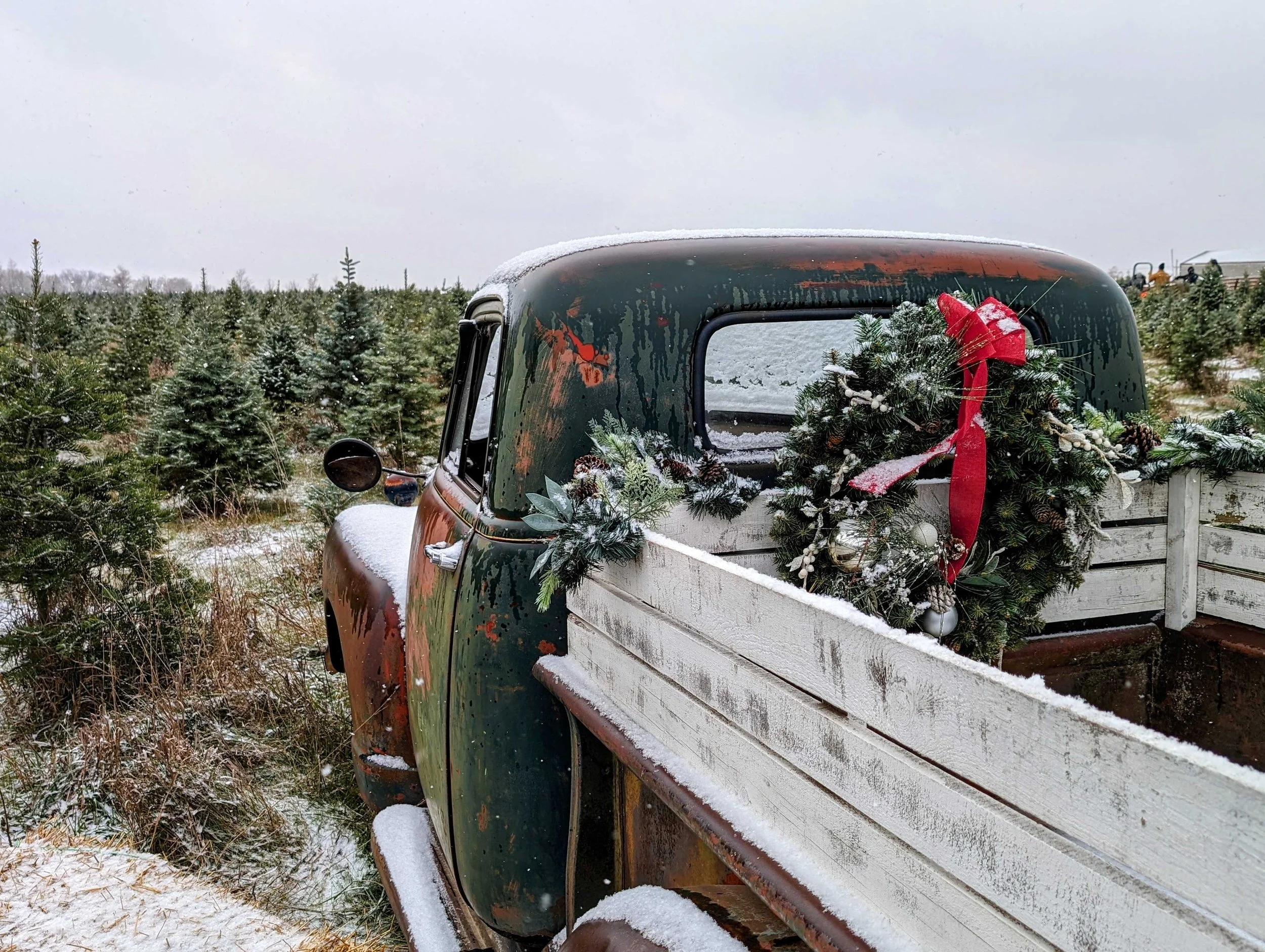 Nordstrom's Christmas Tree Farm | Omaha, NE