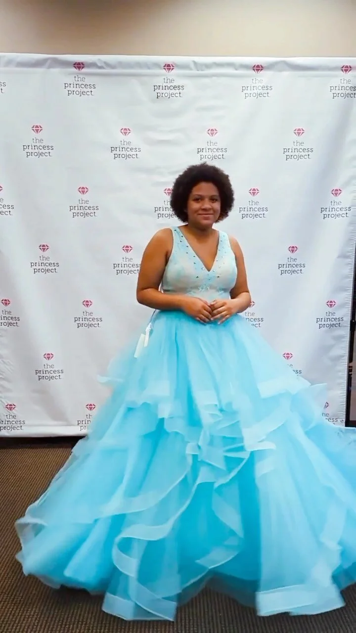 The Princess Project Silicon Valley