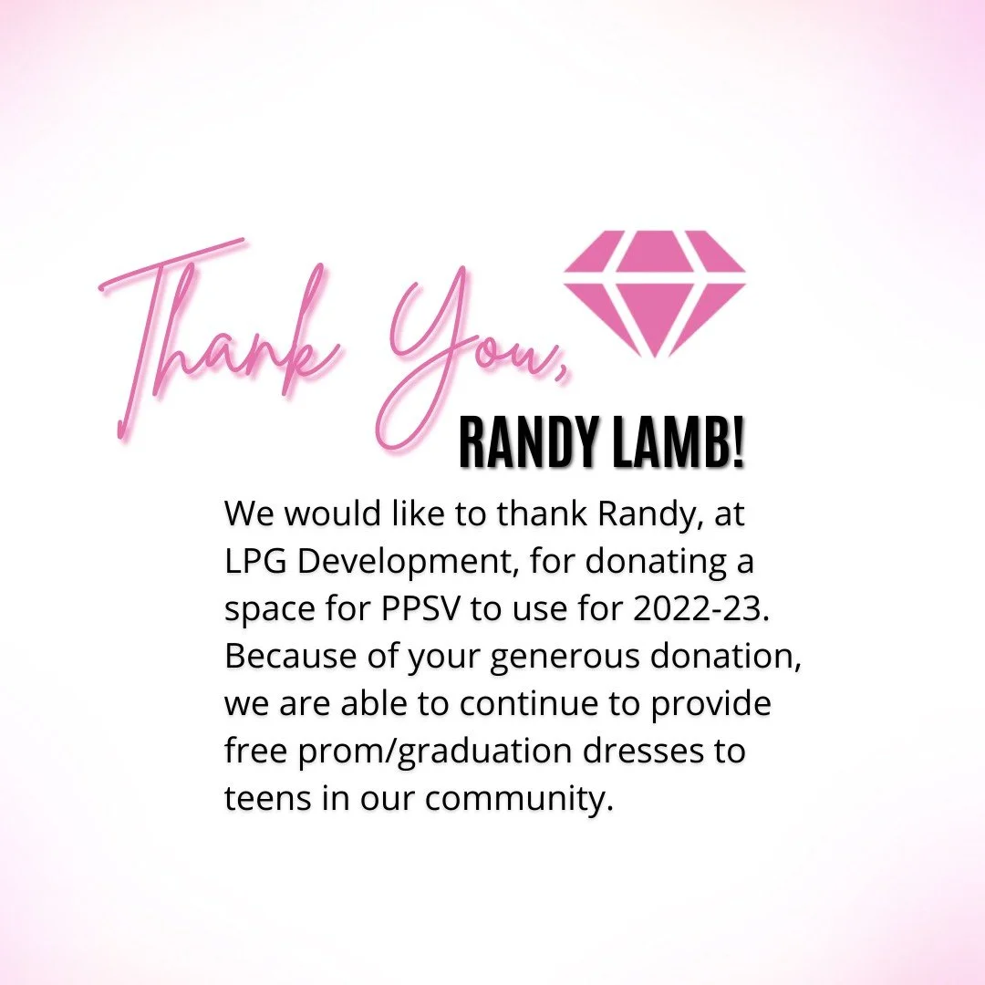 The Princess Project Silicon Valley