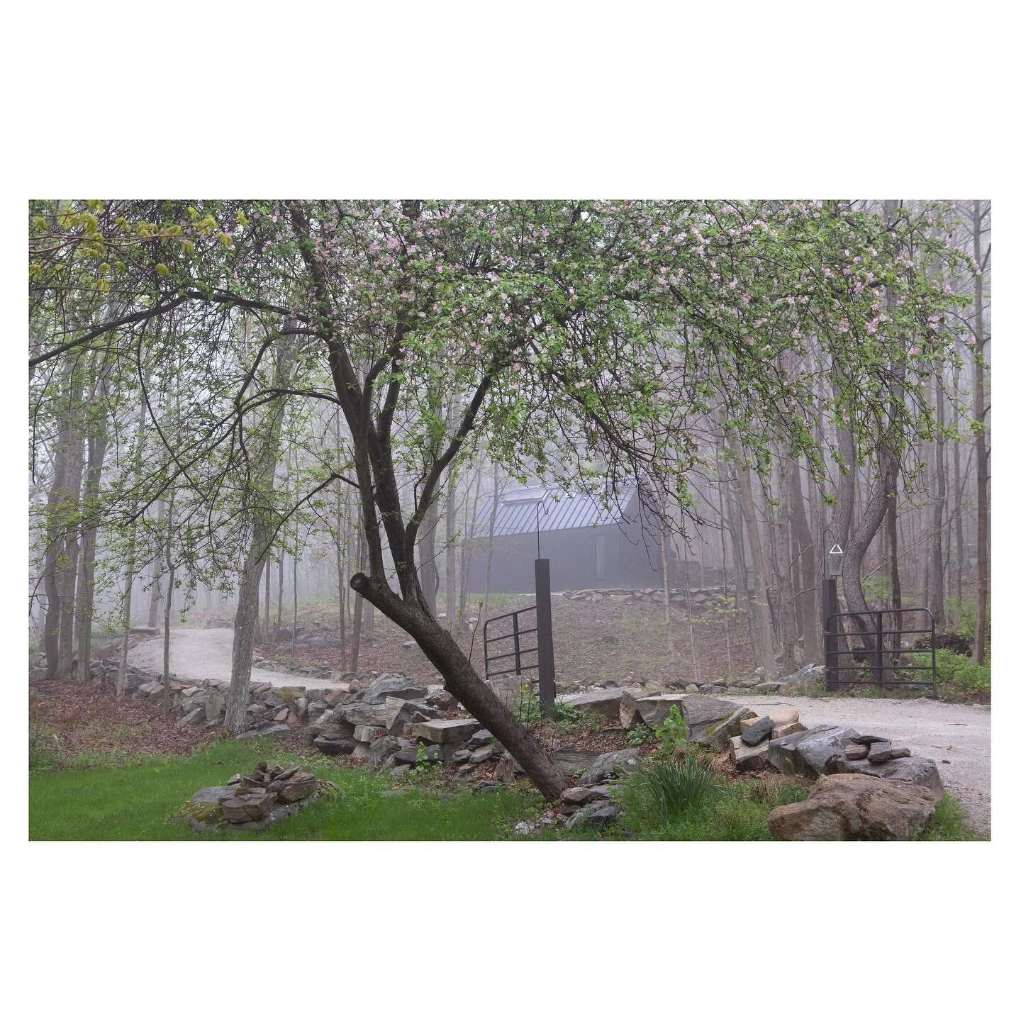 Home — Laurel & Ash Farm