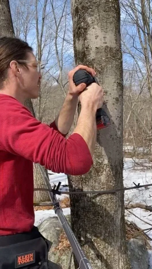 Home — Laurel & Ash Farm