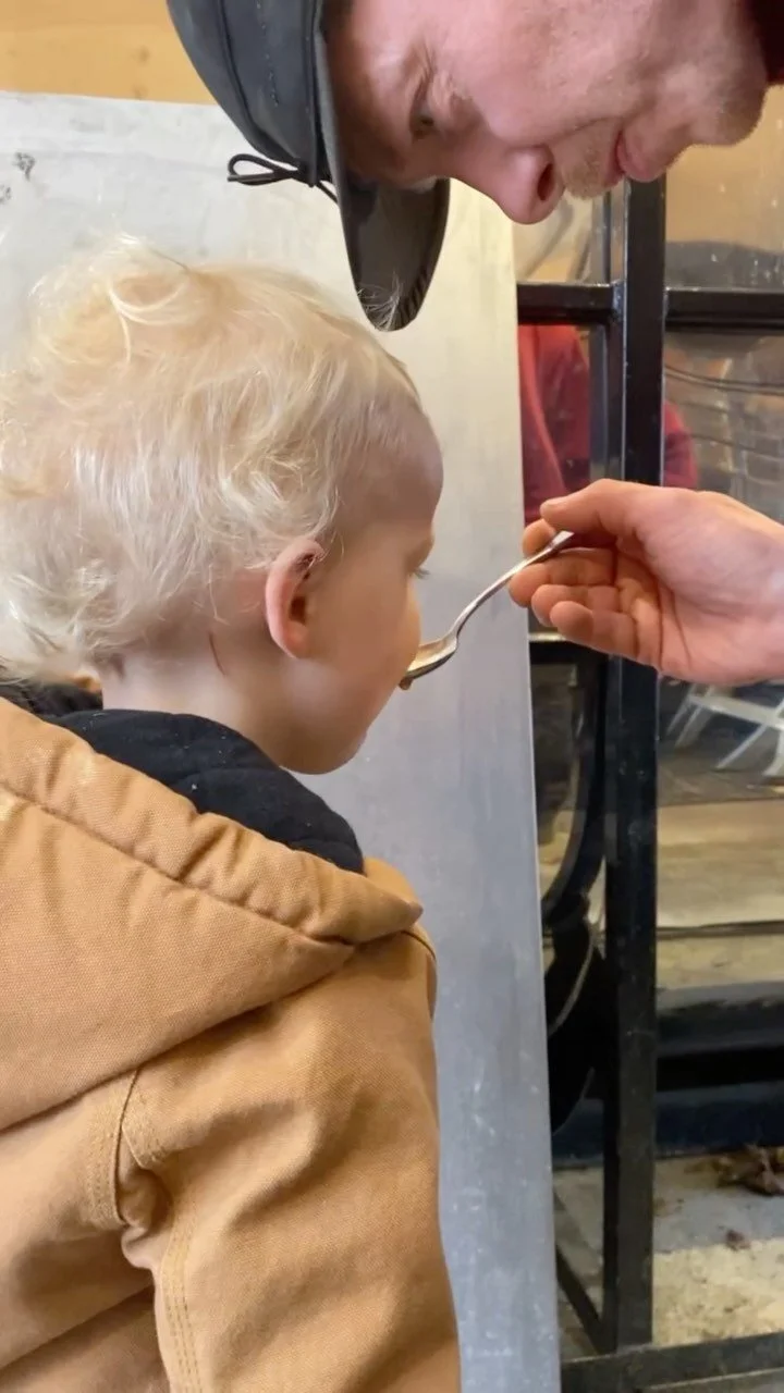 Home — Laurel & Ash Farm