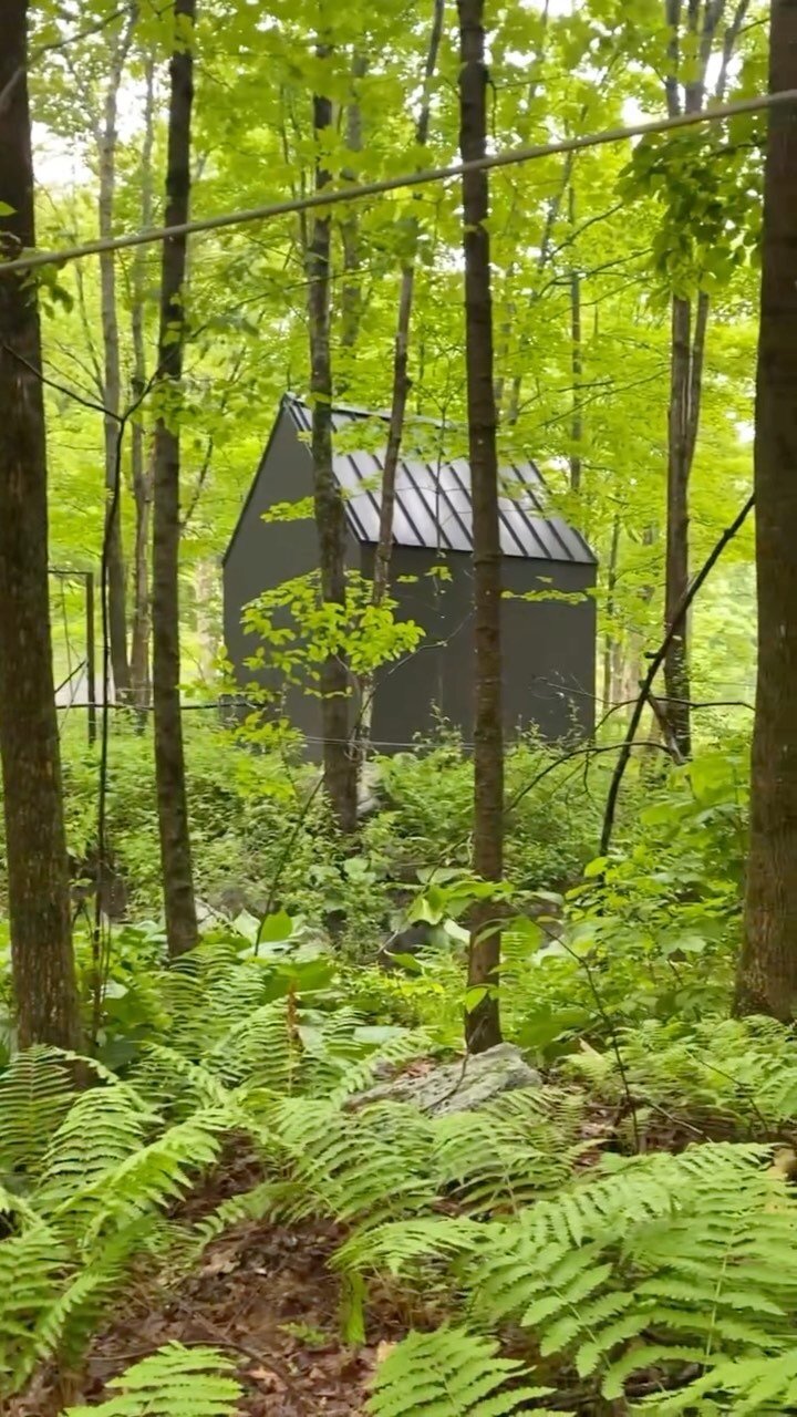 Home — Laurel & Ash Farm