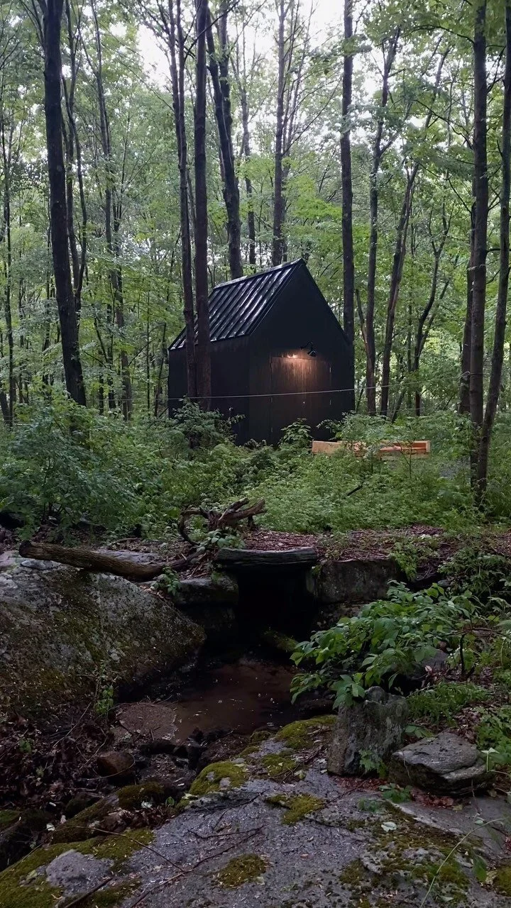 Home — Laurel & Ash Farm