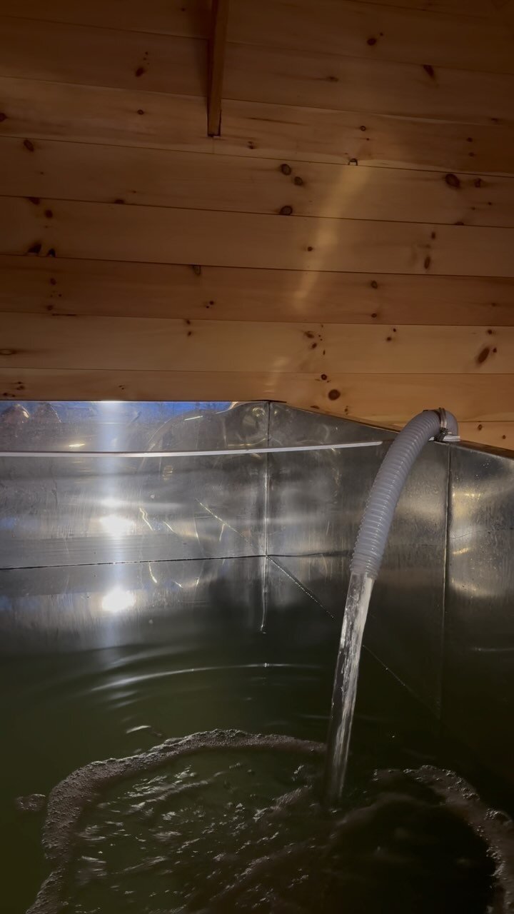 Home — Laurel & Ash Farm