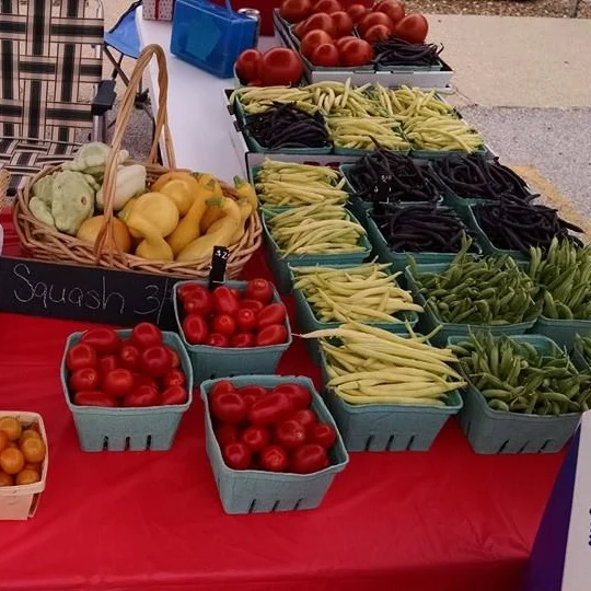 Our Products — Holly Berry Farm