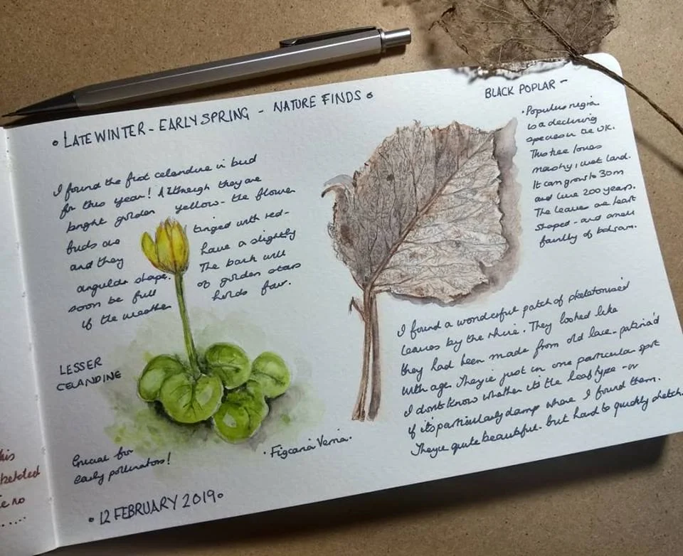 Nature Journal - Winter becomes Spring — Drawn Into Nature