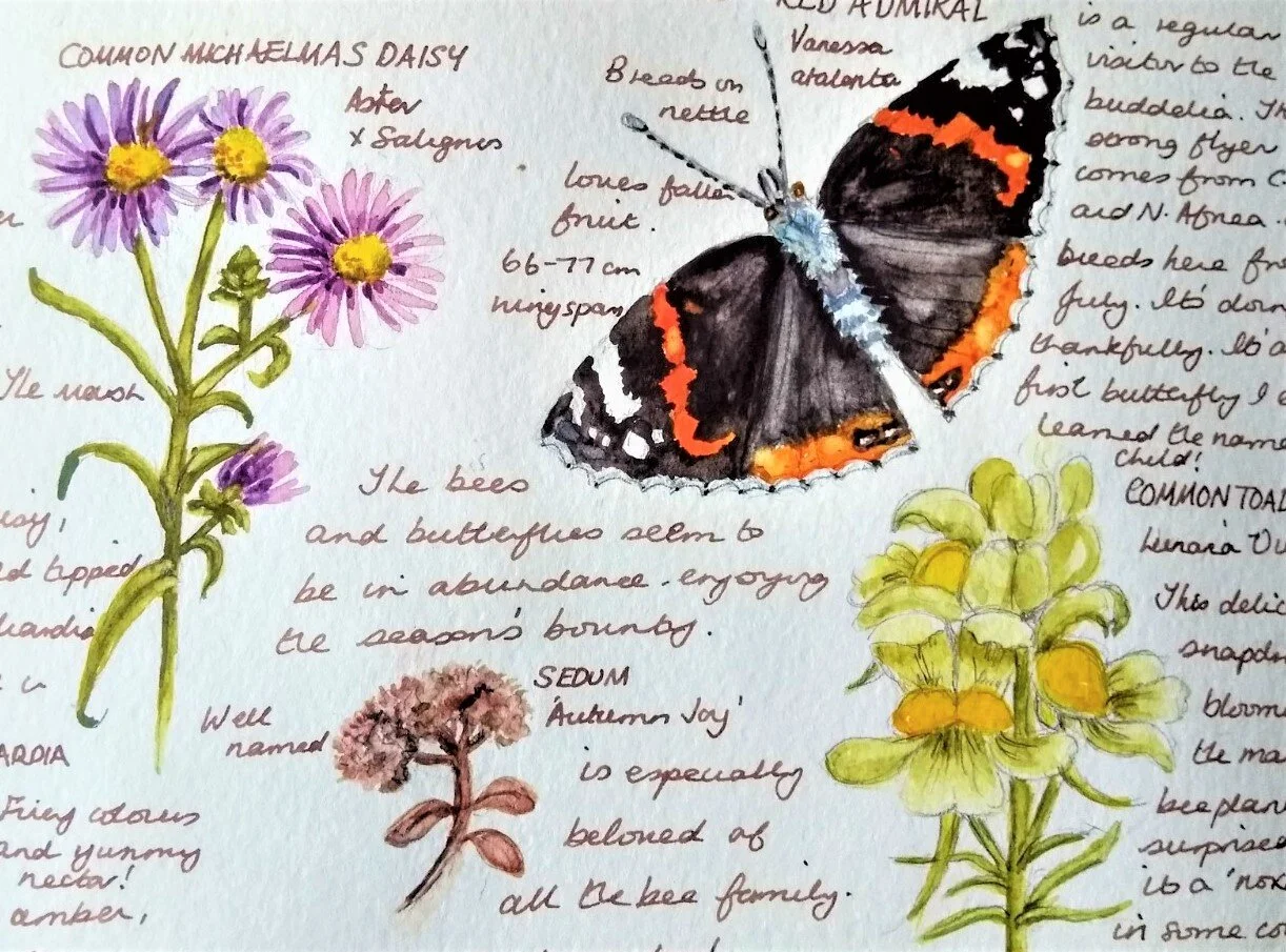 Blog — Drawn Into Nature