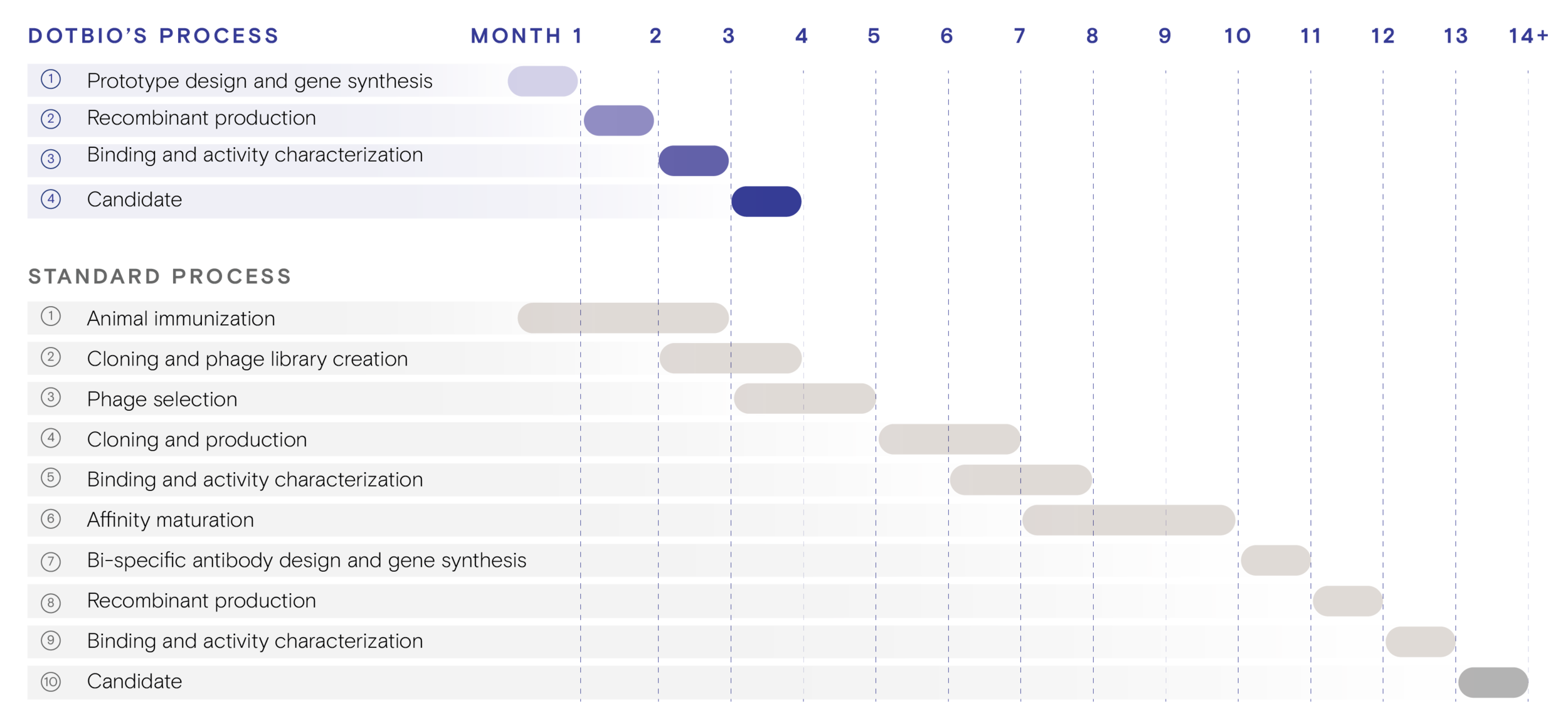 Technology — DotBio
