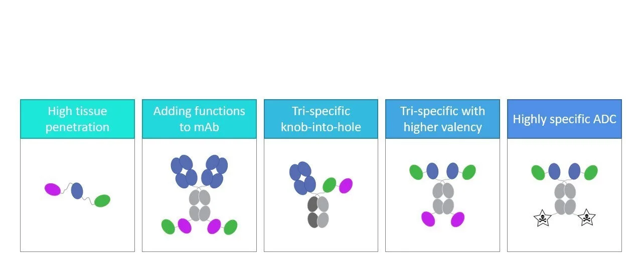 Technology — DotBio
