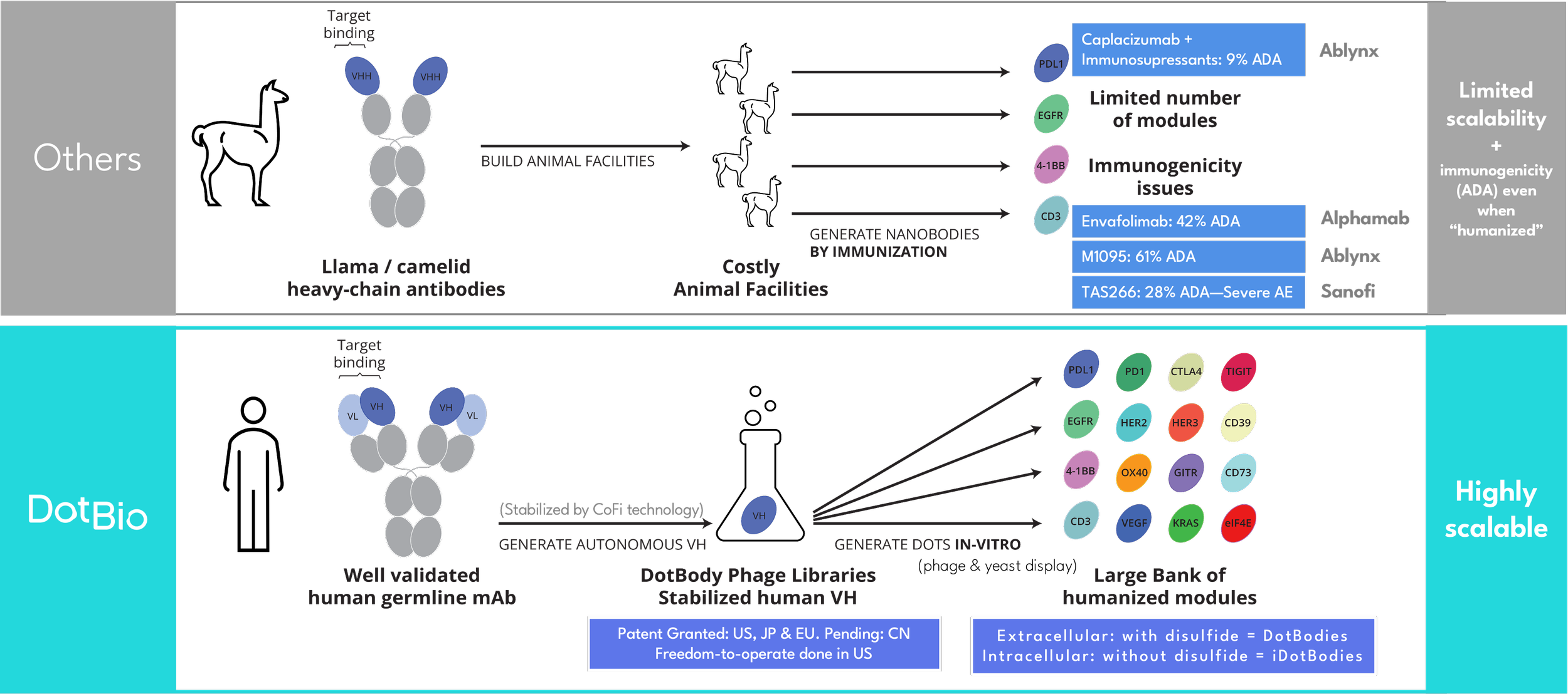 DotBody Technology — DotBio