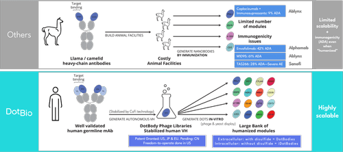 Technology — DotBio