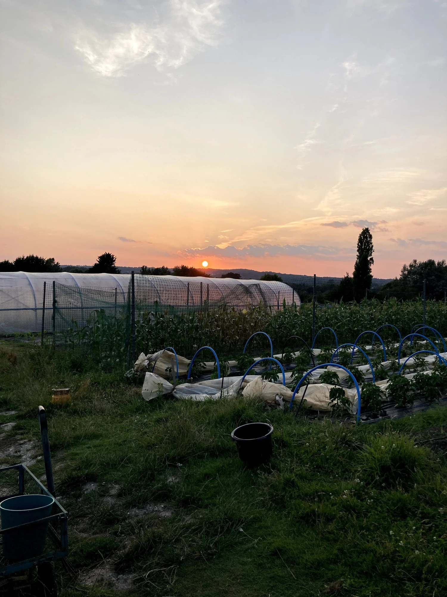 Contact/Find Us — Farnham Community Farm