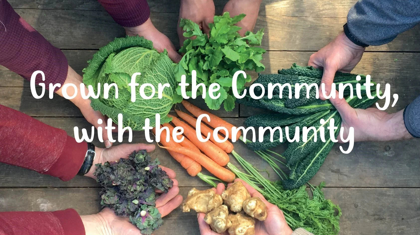 Farnham Community Farm