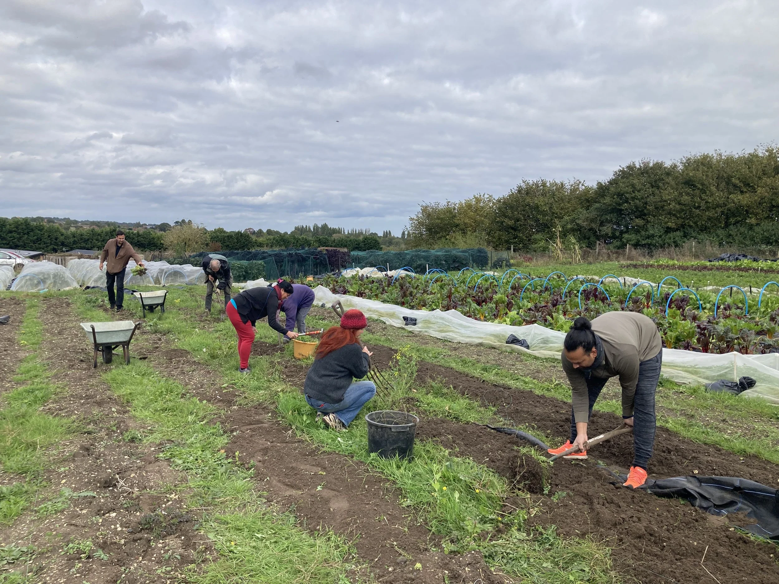Jobs — Farnham Community Farm