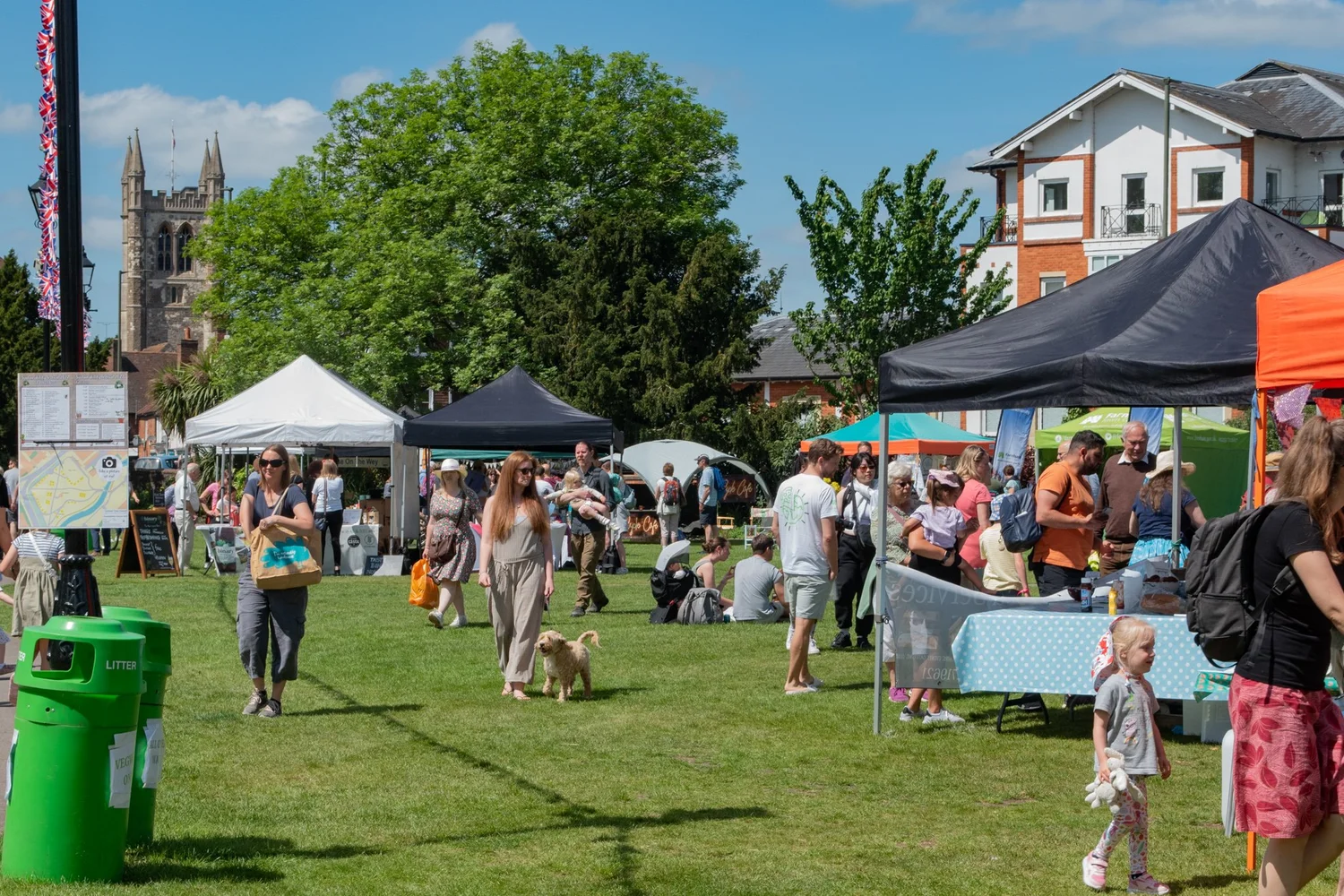 Sustainability Festival — Farnham Community Farm