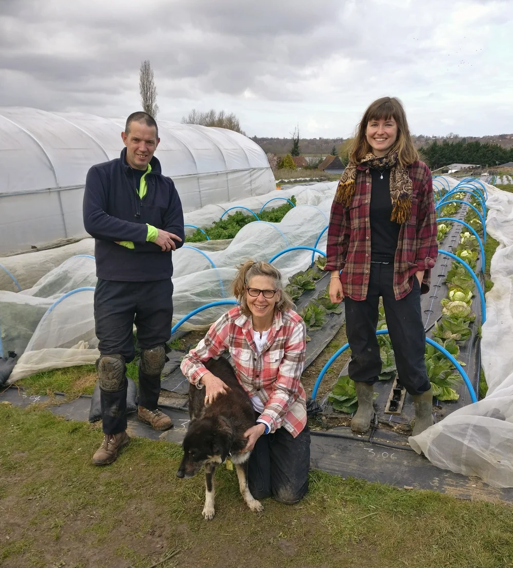 about us — Farnham Community Farm