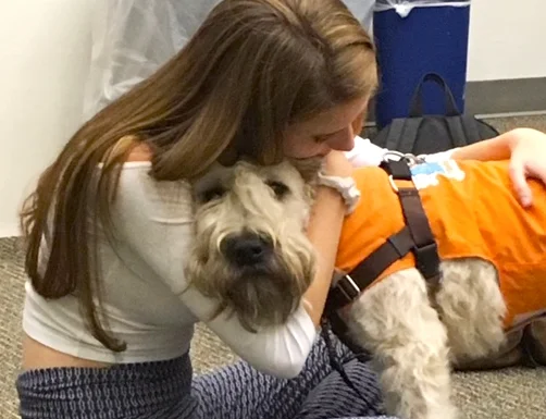 Program Overview — Roxy Therapy Dogs