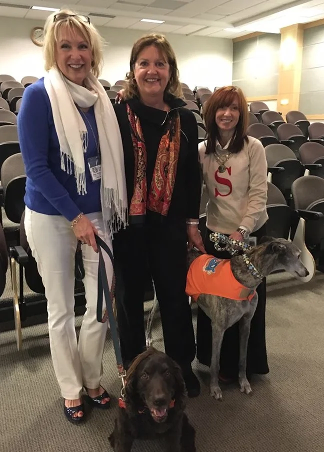 Contact — Roxy Therapy Dogs