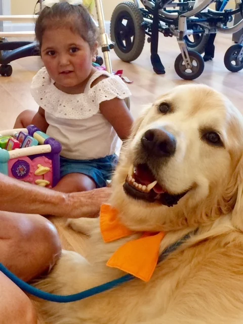 Pediatric Comfort — Roxy Therapy Dogs