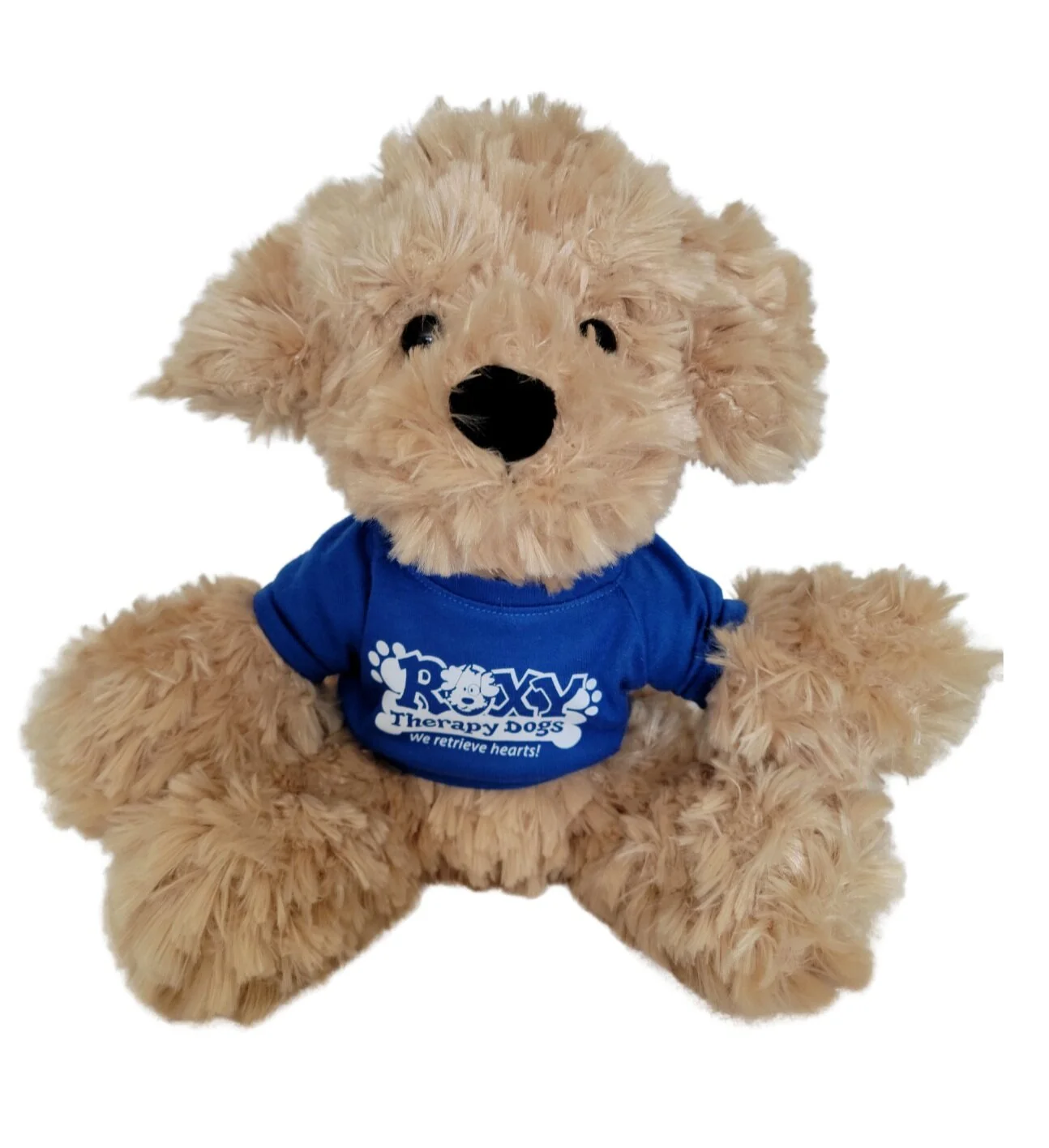 Courthouse Companionship — Roxy Therapy Dogs