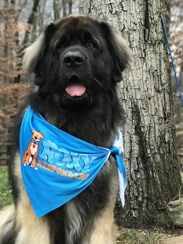 Roxy Responders — Roxy Therapy Dogs