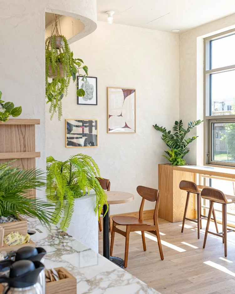 Calgary Cafes — Deville Coffee