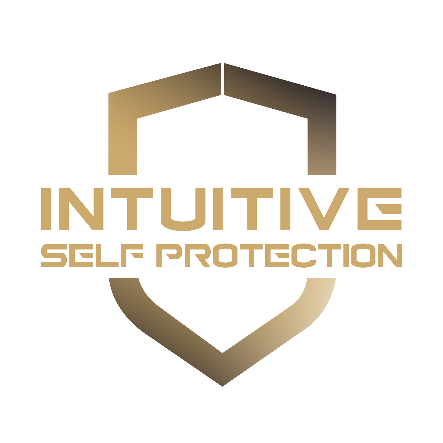 Intuitive Self-Protection | Firearms Training & Self Defense Courses