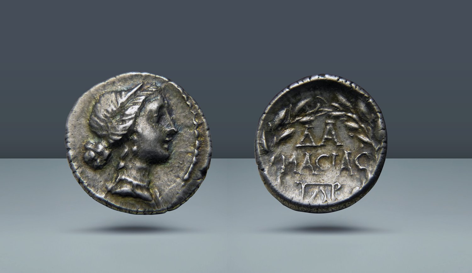 Cleopatra Vii Coin