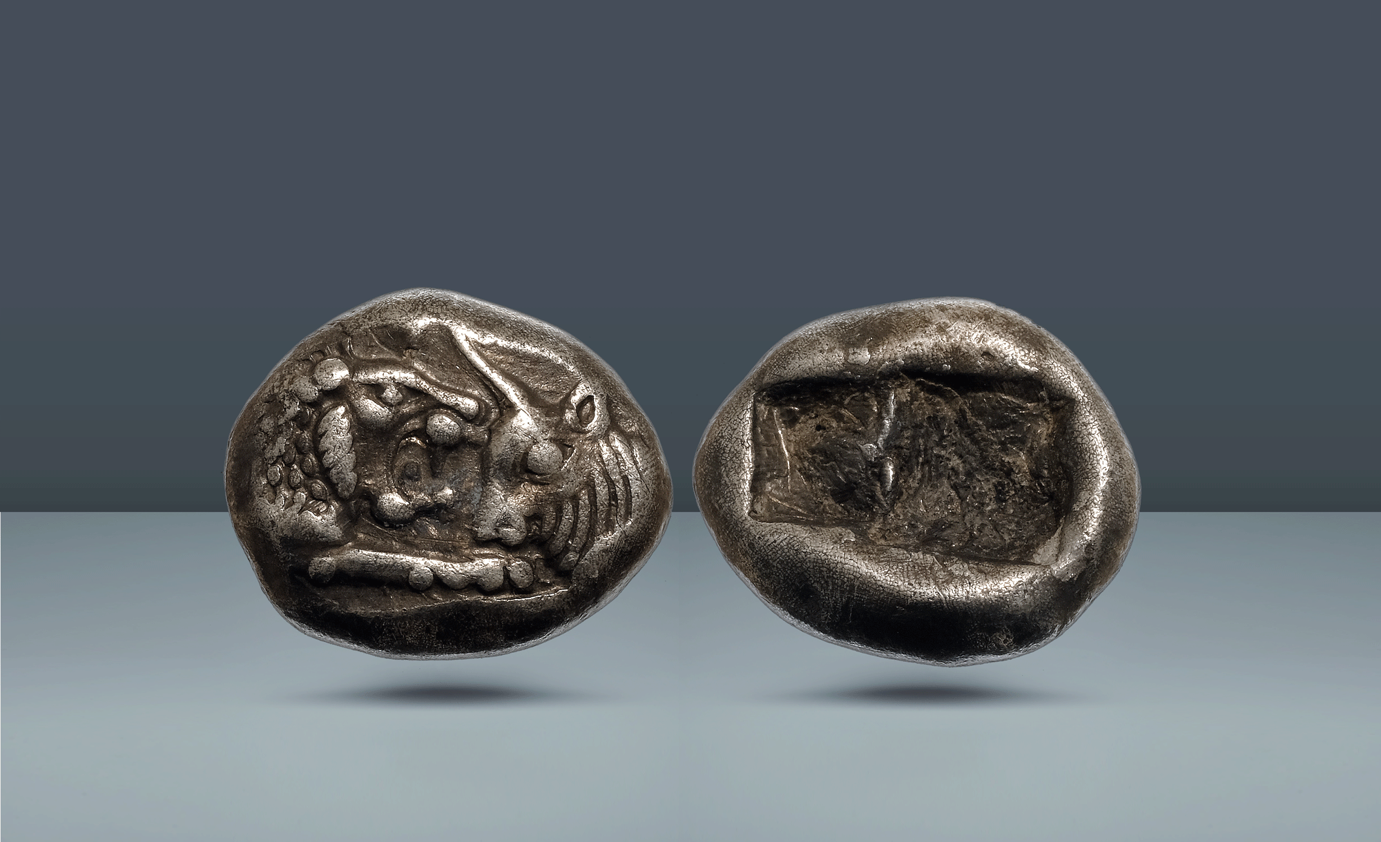 Greek Coins II — Shanna Schmidt Numismatics