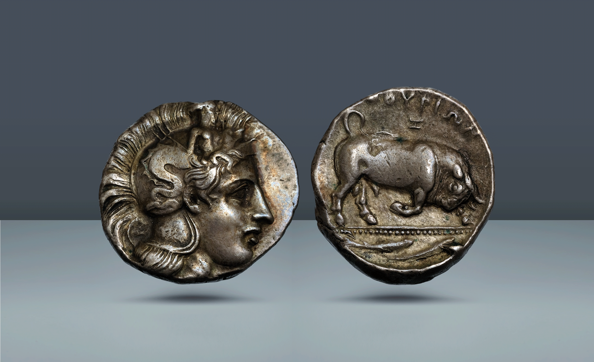 Greek Coins. Ancient Coins. Numismatics. Coins for sale. — Shanna ...