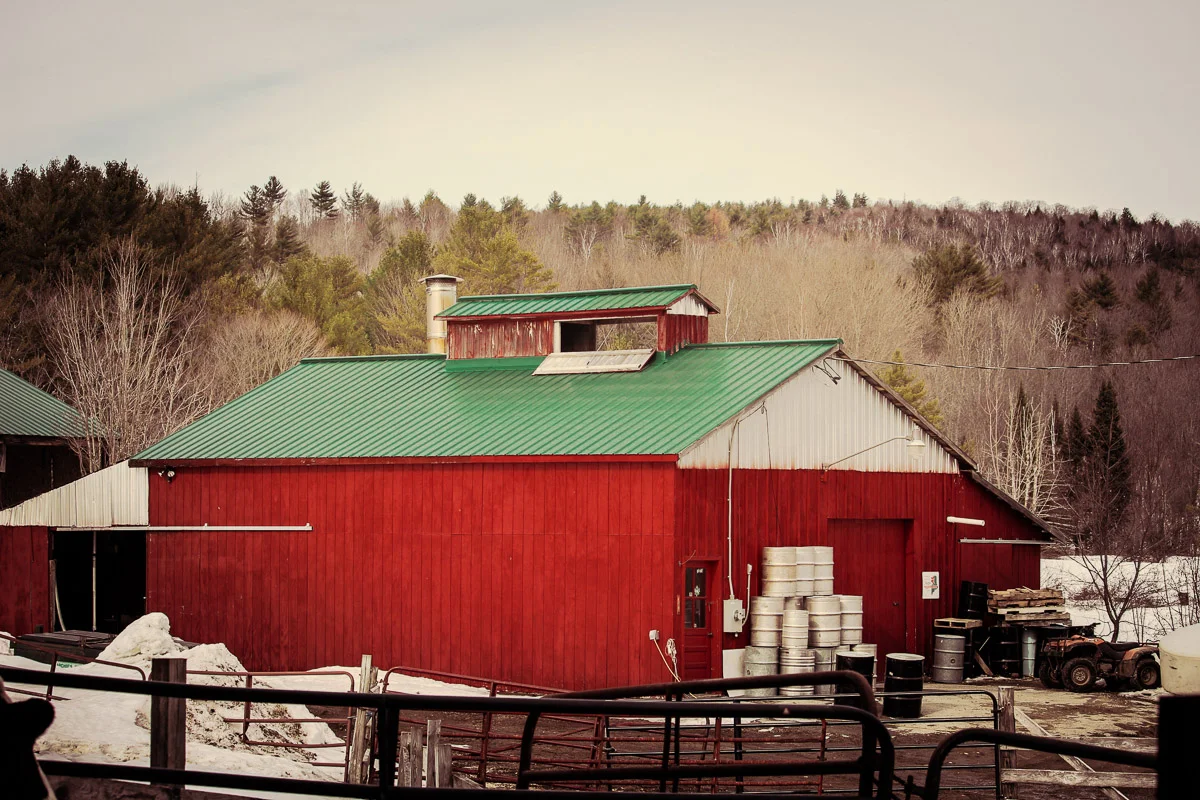 Maine Maple Sunday - Hall Farms Maple Products