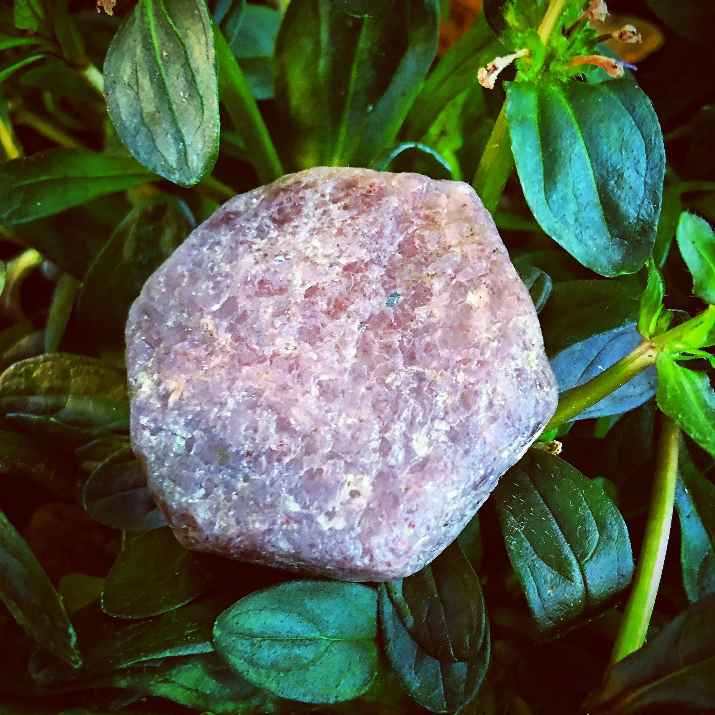 How To Work With Ruby — Krista Mitchell