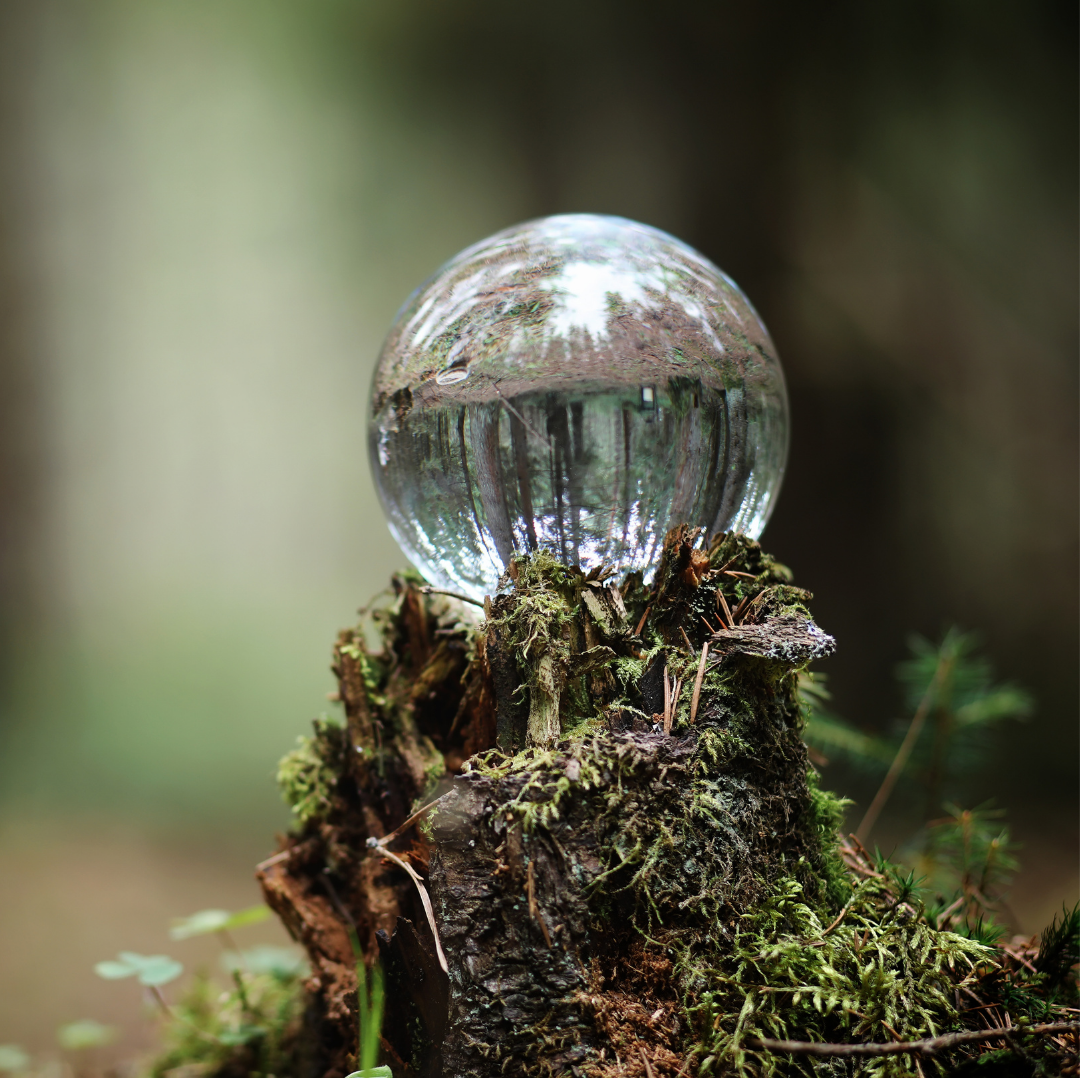 Hidden Messages in the Stones — Krista Mitchell