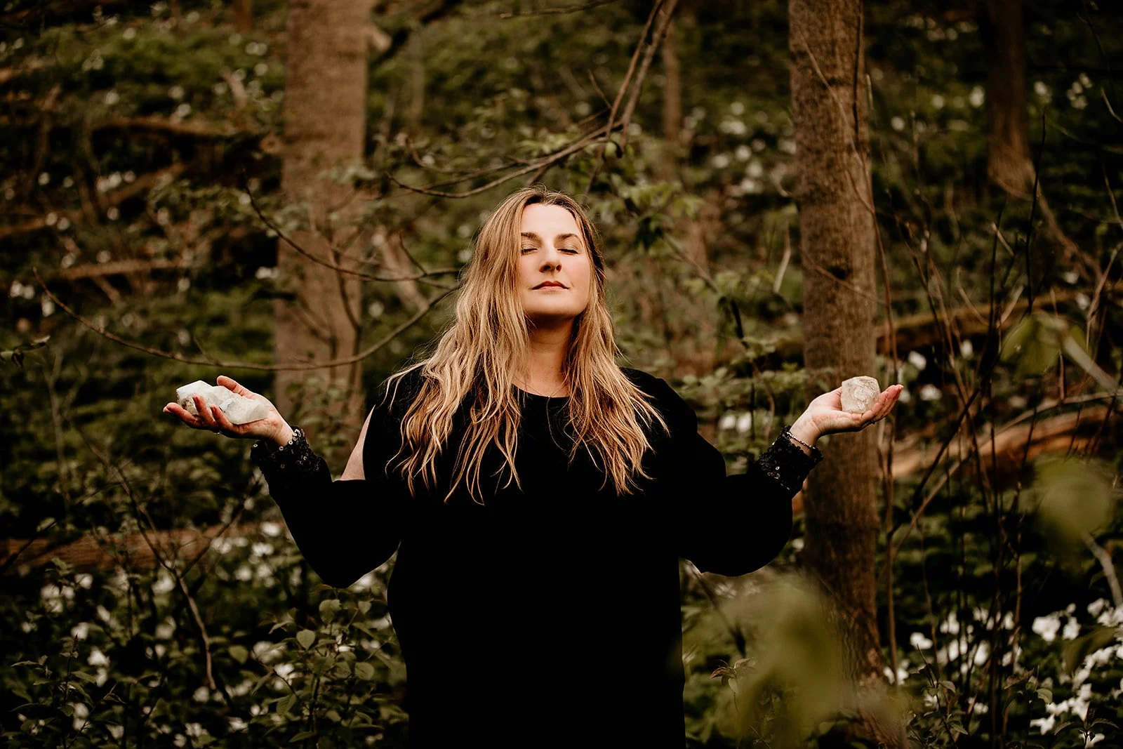 Becoming Your Dream: A Leo Moon Crystal Ritual — Krista Mitchell