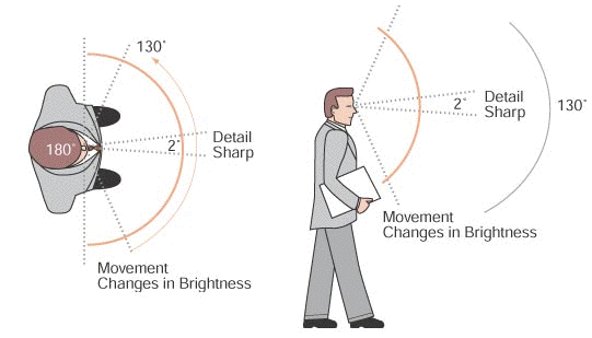Visual Fields: Introduction — Ophthalmology Review