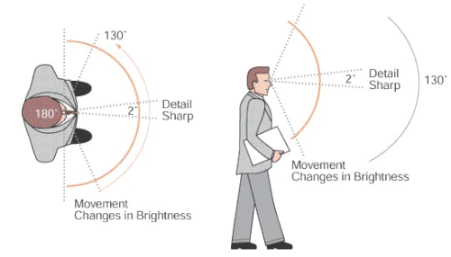 Visual Fields: Introduction — Ophthalmology Review