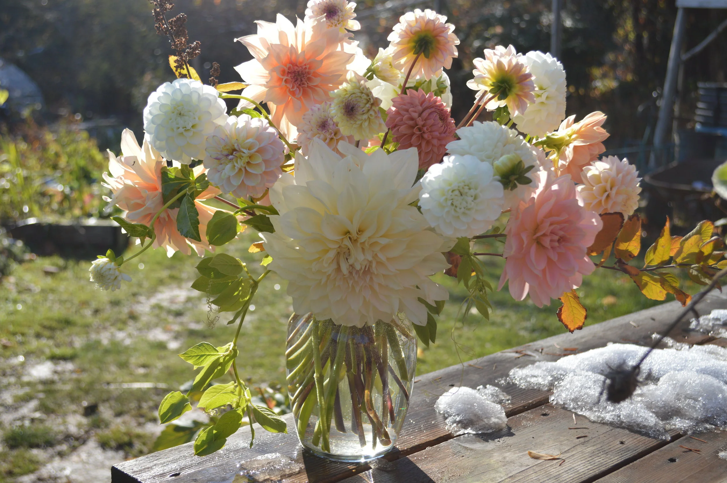 About Night Song Farm | Vancouver Island Flower Farm & Floral Design ...