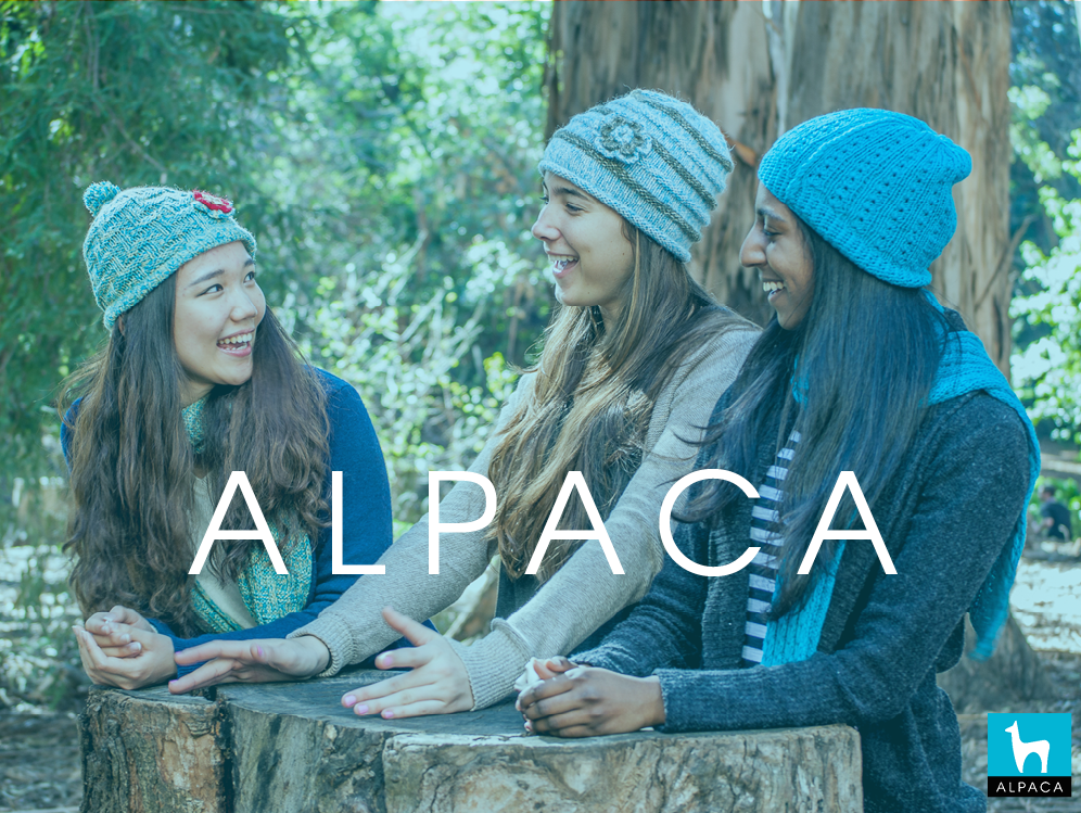 Alpaca Pan Peru
