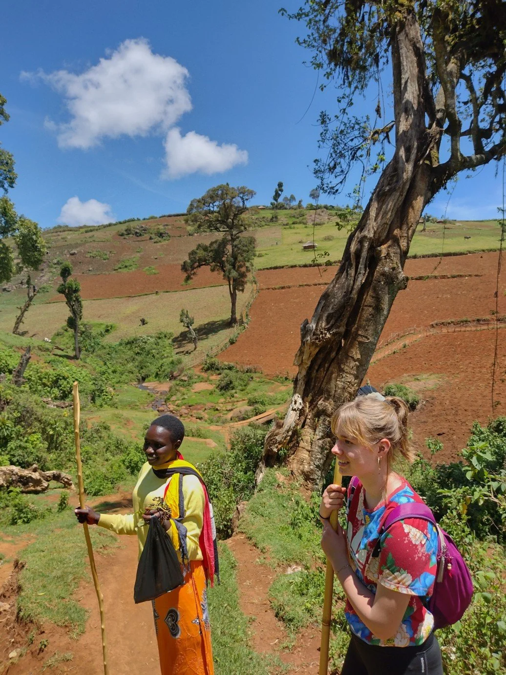 Blog — Home of Friends Guesthouse