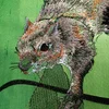 Q+A MEET DESIGNER JACKY PUZEY - AN INCREDIBLE TALENT USING MULTI MEDIA ...