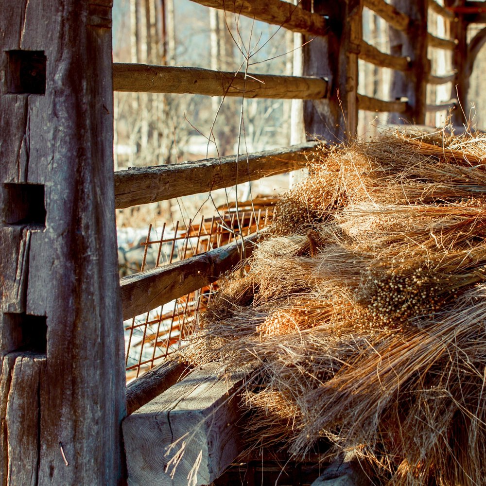 Devan’s Bio-Based Products Launched At Heimtextil Underscores Its ...