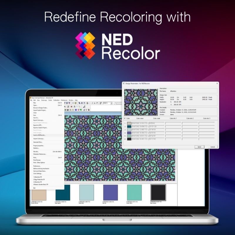 NEDGRAPHICS — TEXINTEL