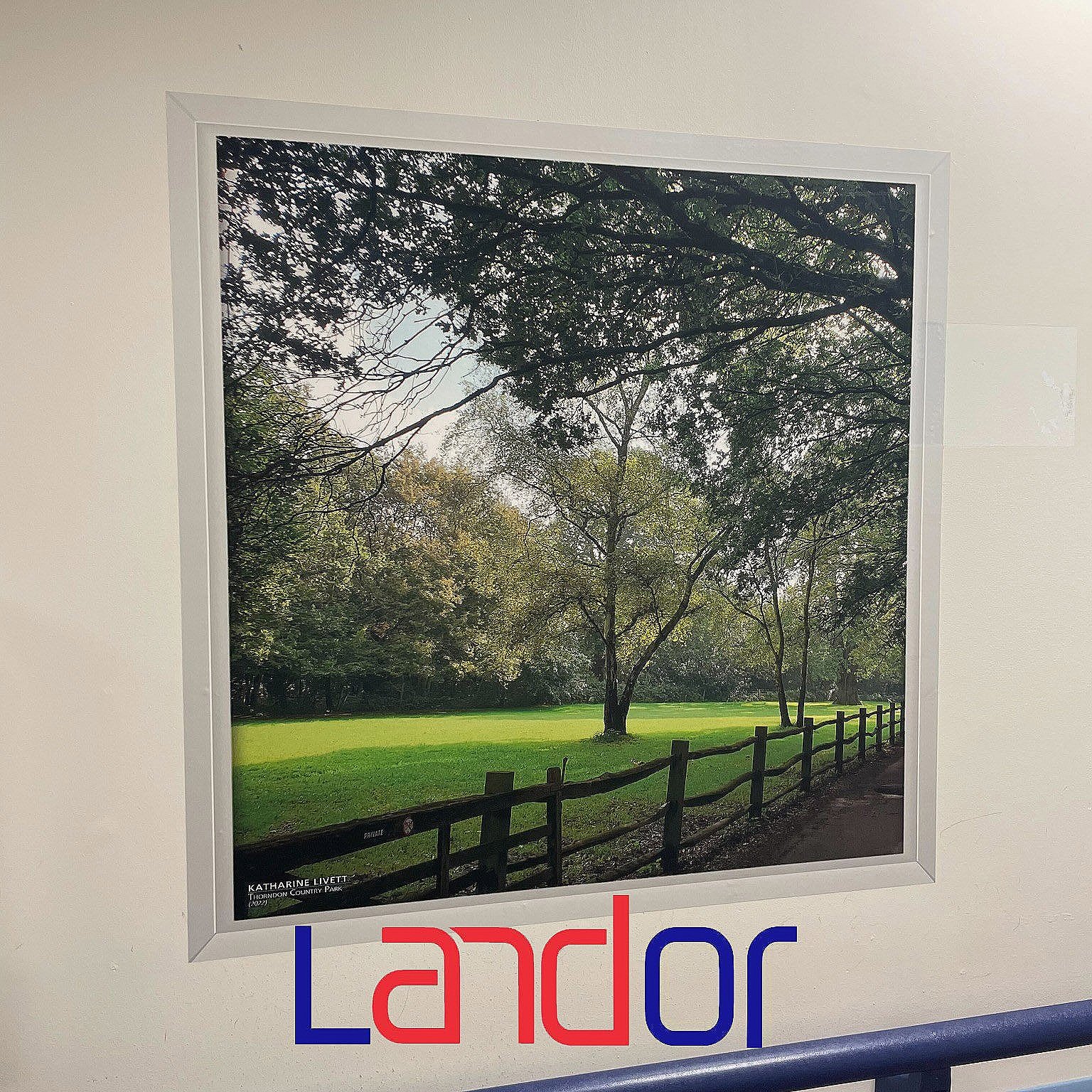 Radwraps Use Landor UK’s Phototex & ColourShield To Provide Dementia ...