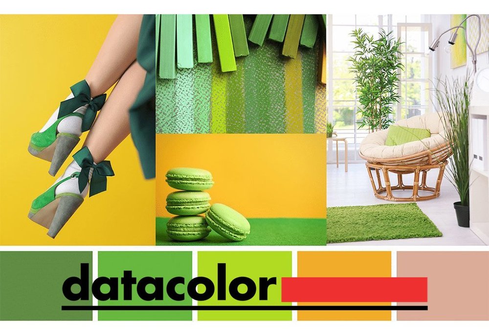 Datacolor Acquires matchmycolor — TEXINTEL