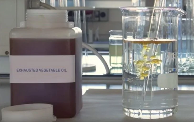 ERCA's New Brand REVECOL® ─ Transforming Waste Into Sustainable Fashion ...