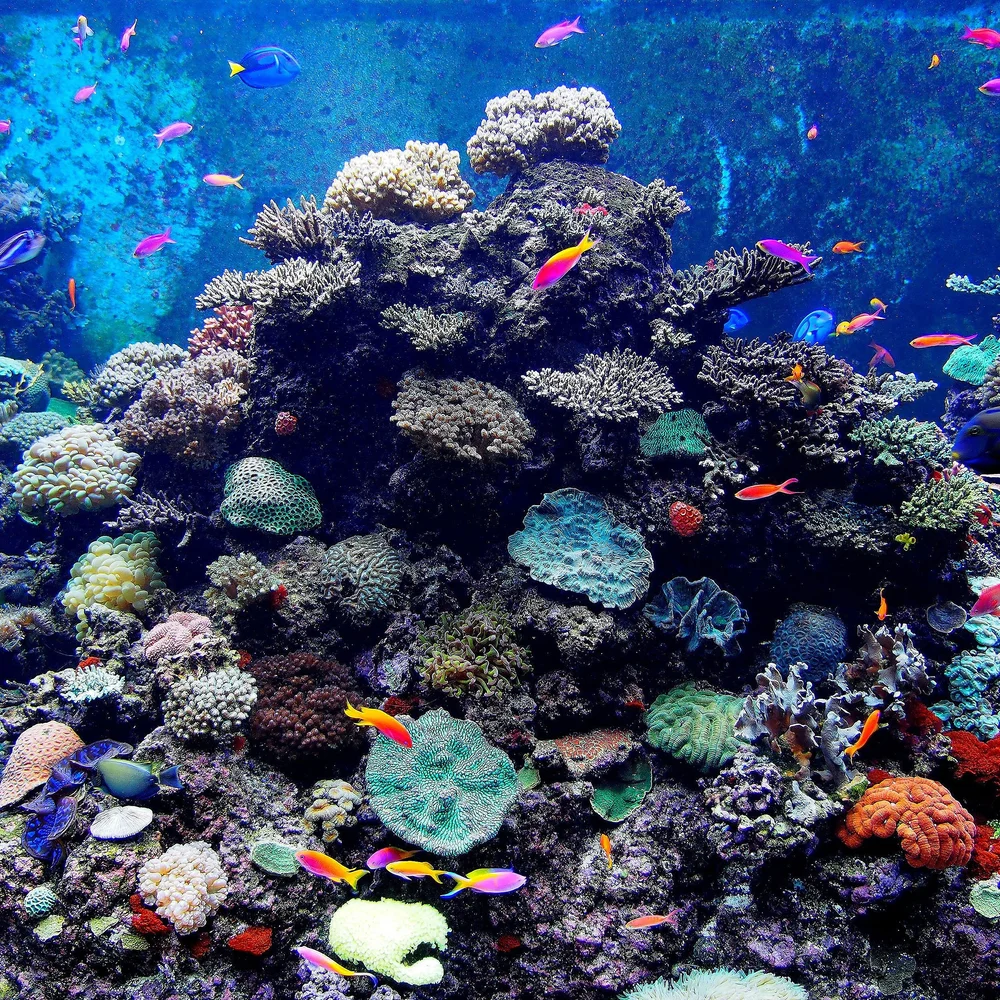 Colorifix Raise £18m In A Series B Investment Round To Accelerate The ...